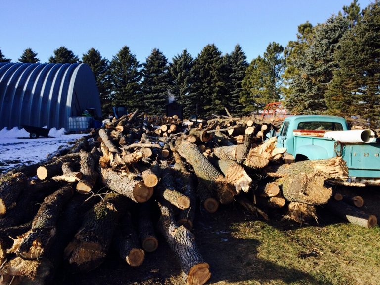 Home - Marshall Tree Saw