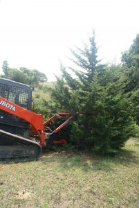 Gallery - Marshall Tree Saw